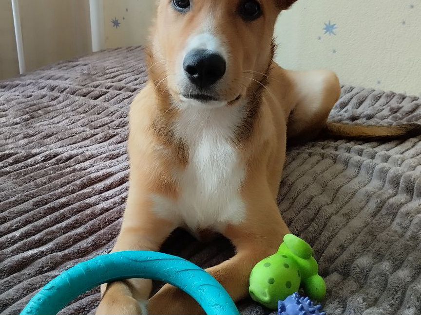 Спасли, чтобы жил