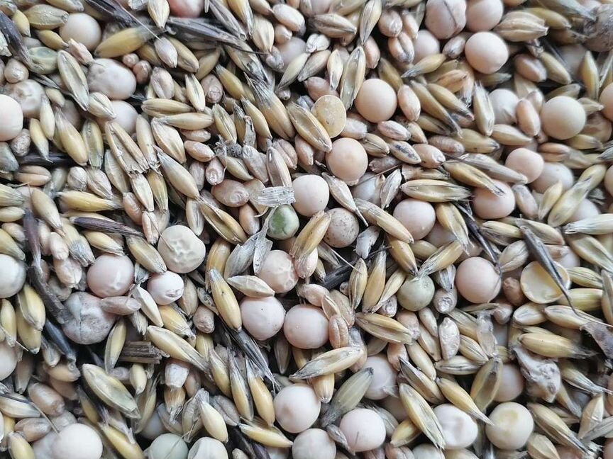 Зерносмесь