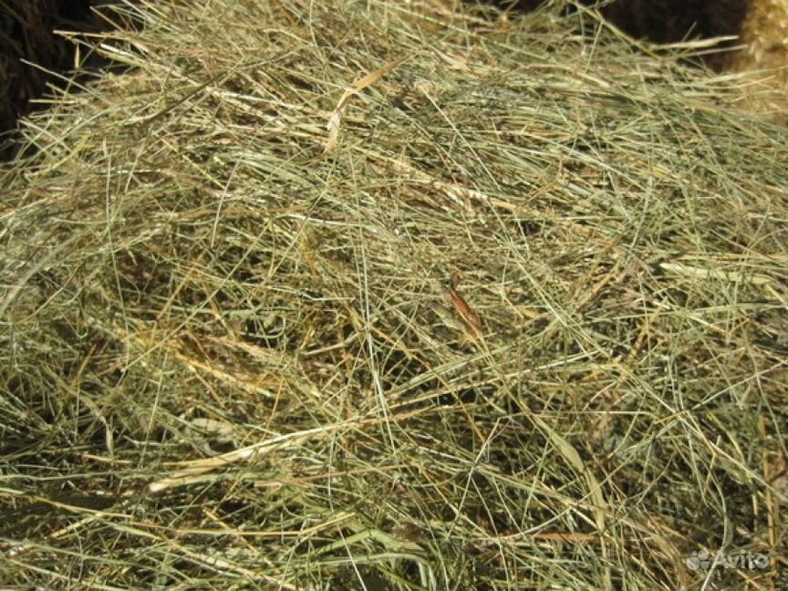 Сено (россыпь)