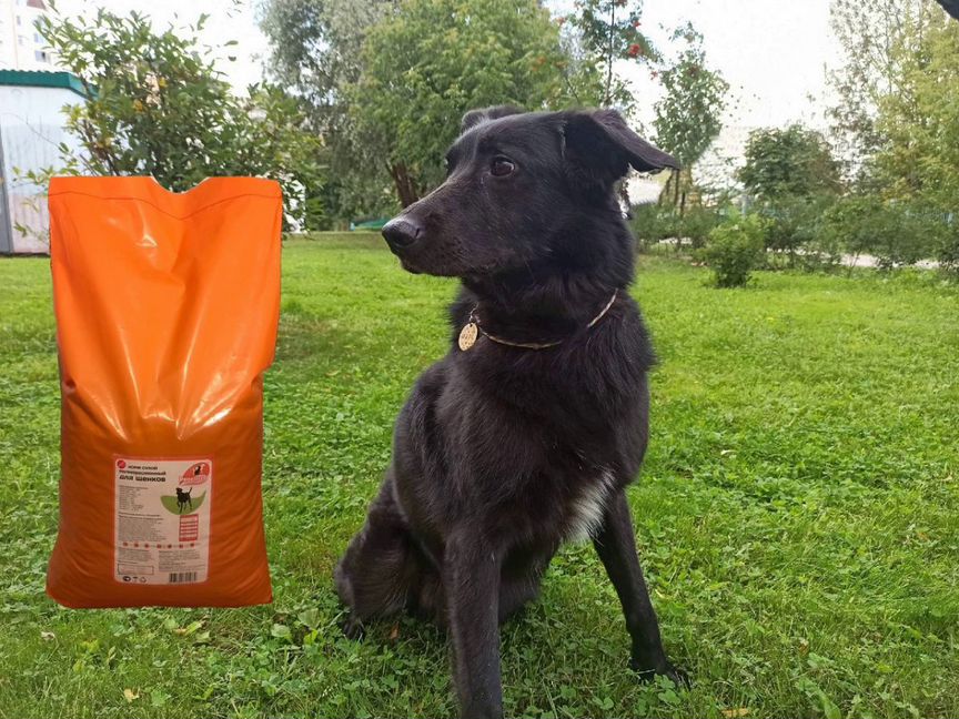 Корм для кошек и собак "Profifeed"