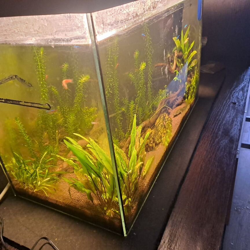 Аквариум с рыбками