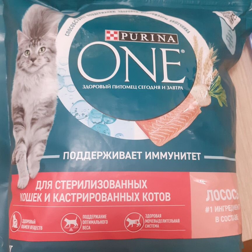 Корм для кошек пурина ван