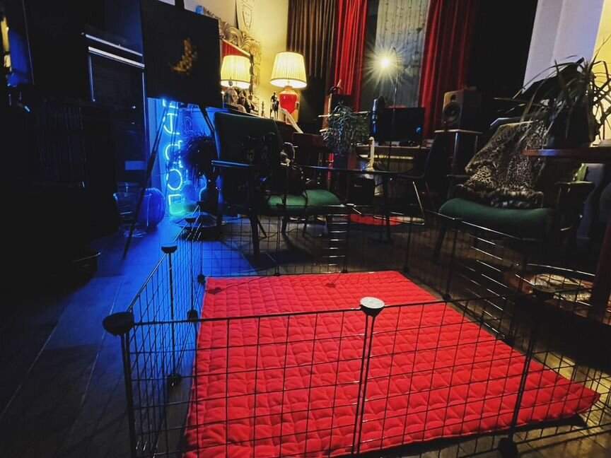 Загон для морских свинок грызунов новый