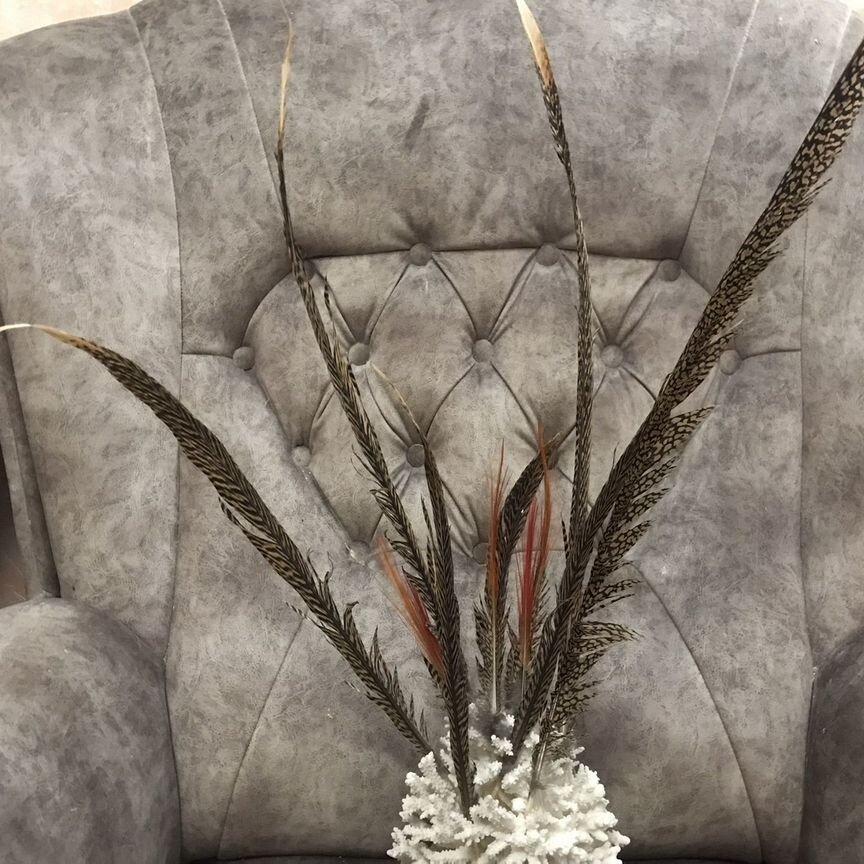 Перья фазана