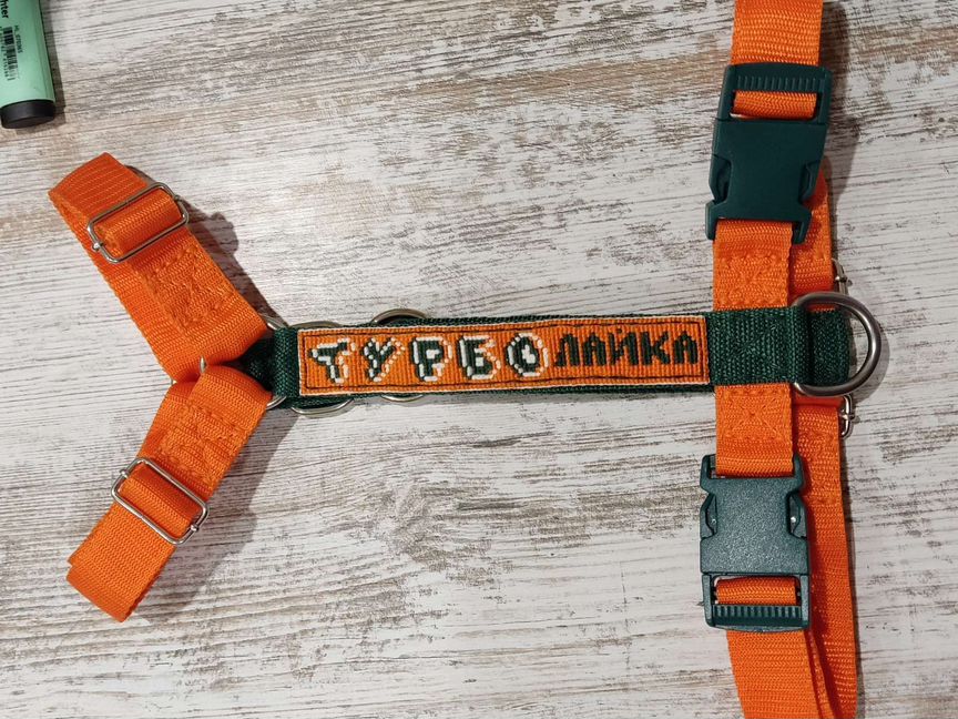 Амуниция для собак ручной работы