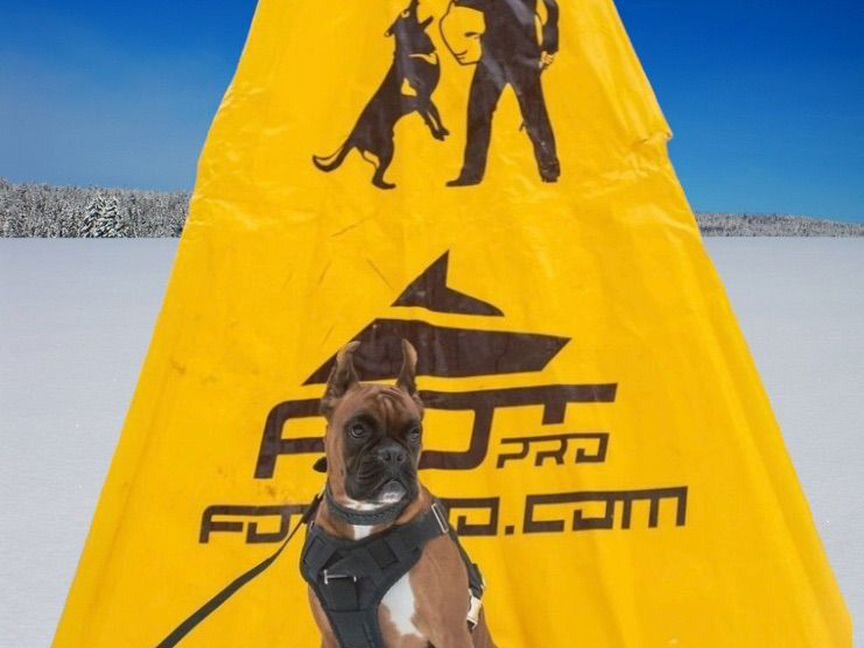 Боксер щенки РКФ от чемпионов