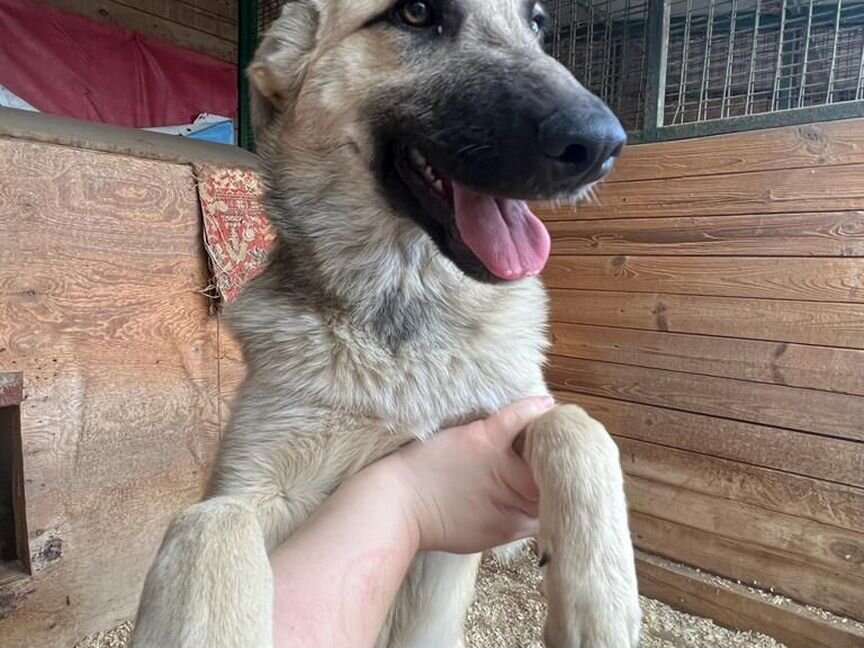 В ожидании дома