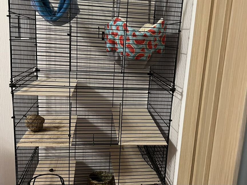 Клетка для шиншиллы