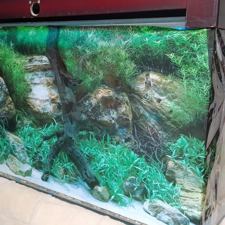 Аквариум 100 л