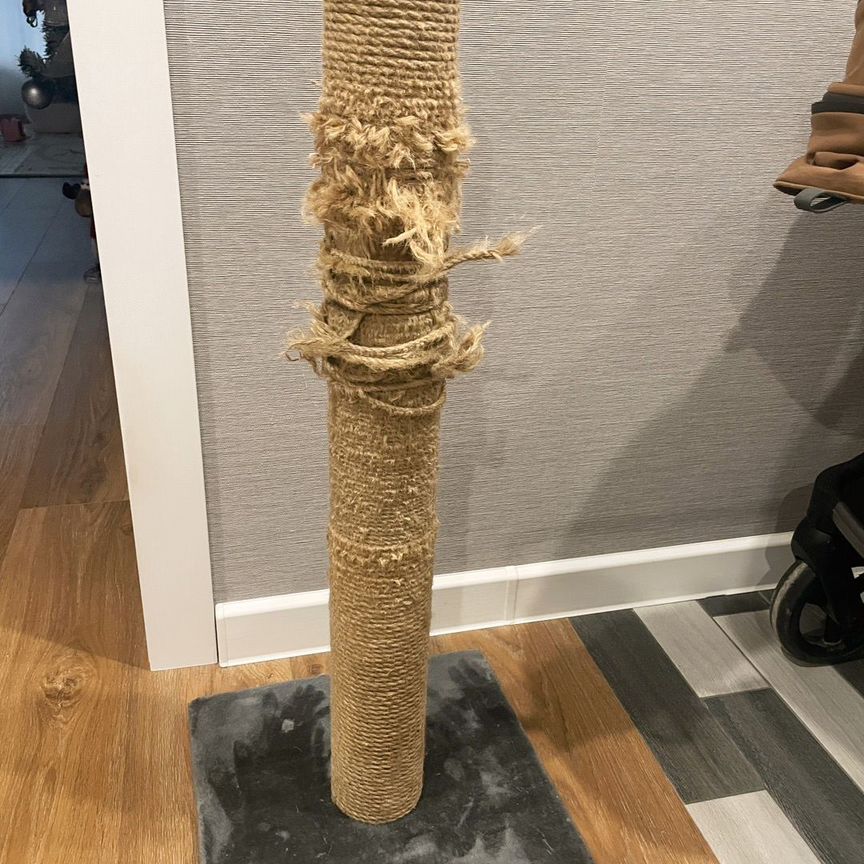 Когтеточка для кошек