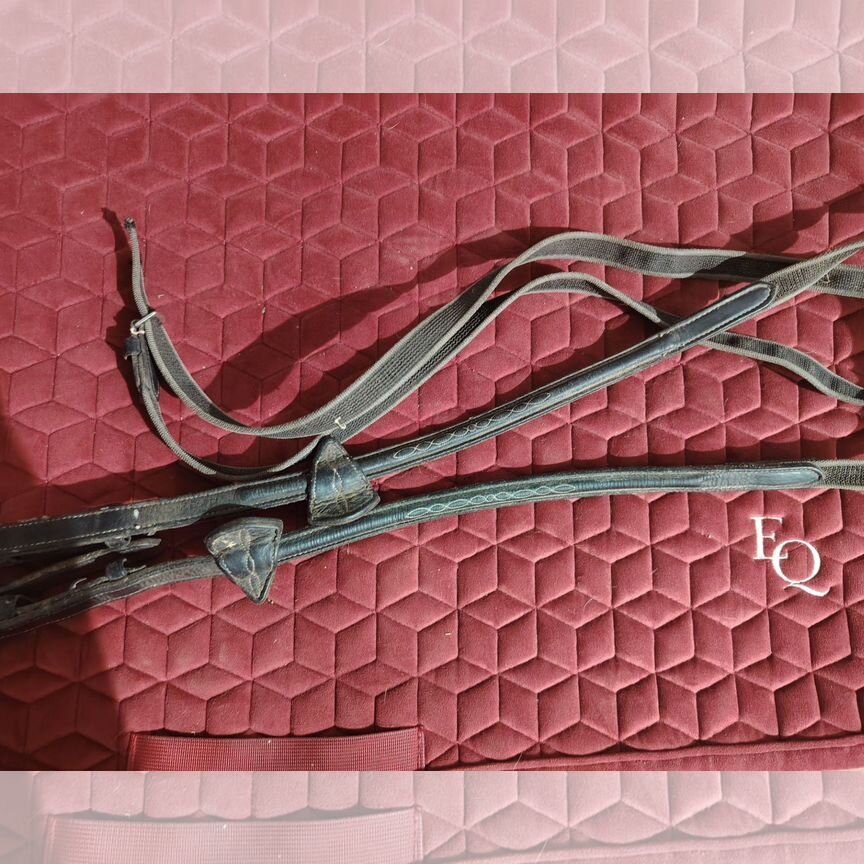 Повод для лошади