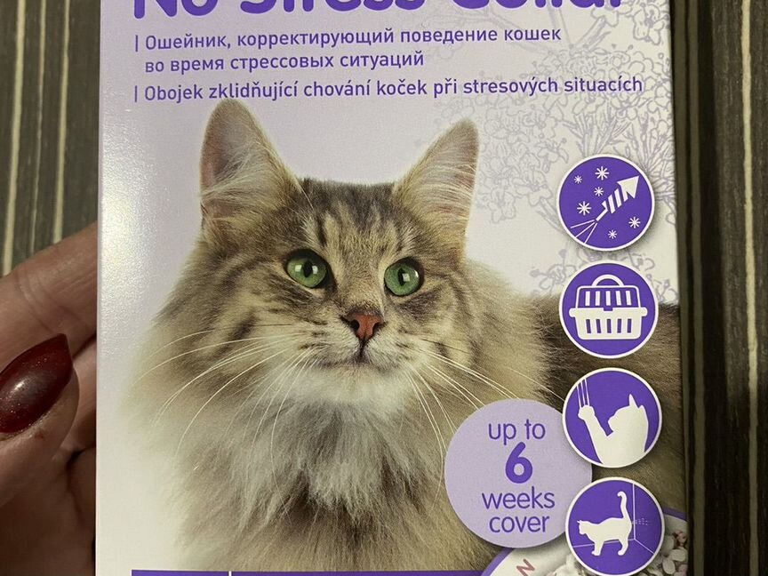 Ошейник для кошек успокаивающий