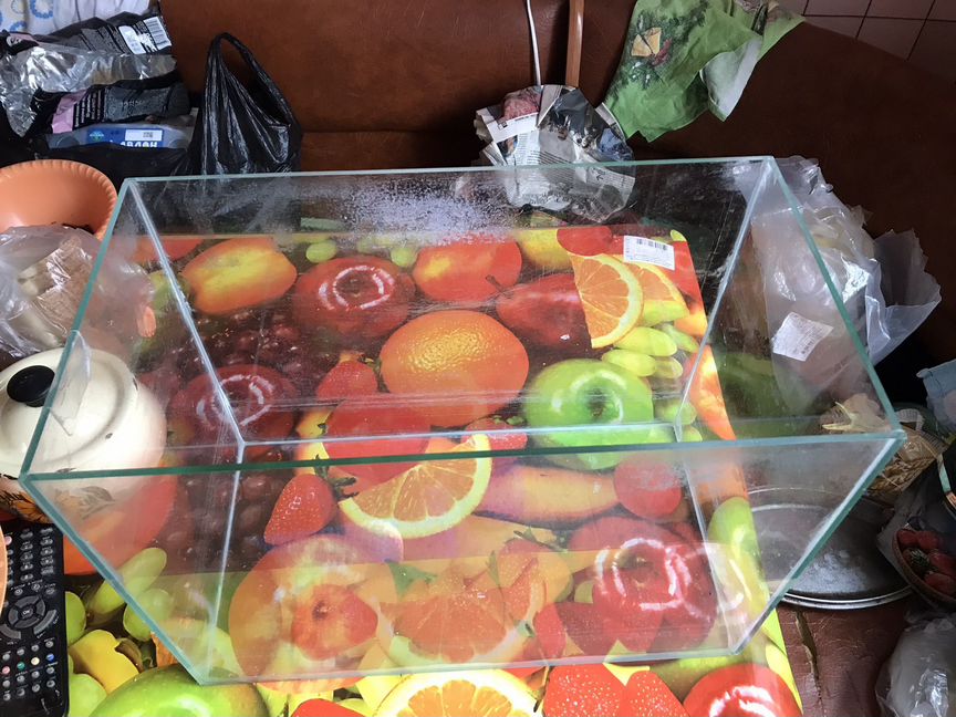 Аквариумные рыбки