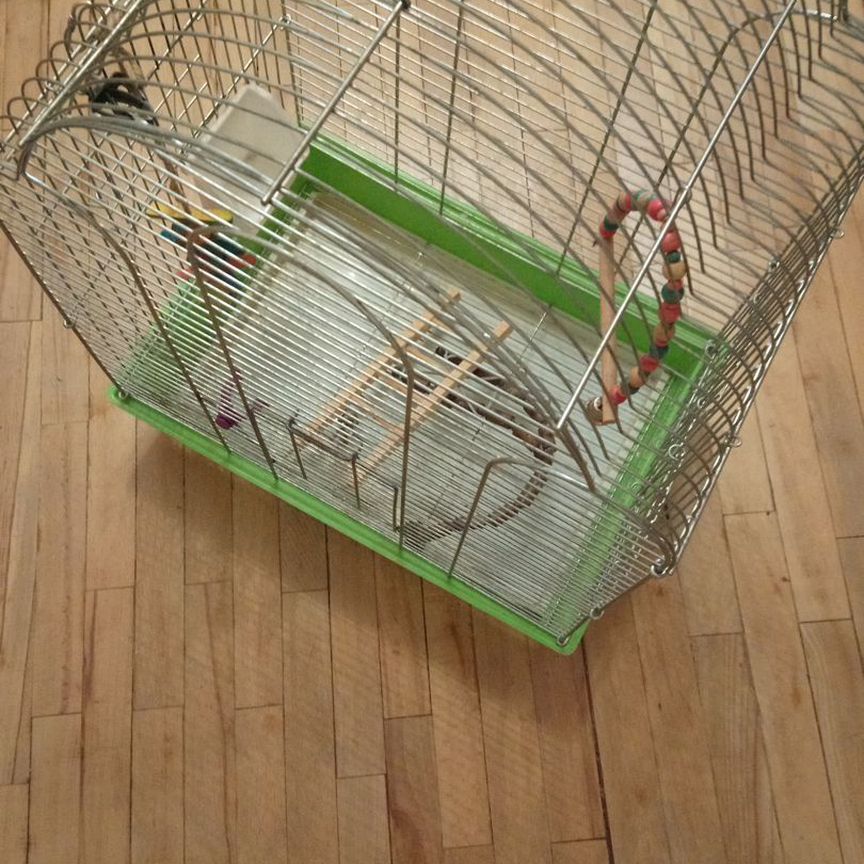 Клетка для птиц
