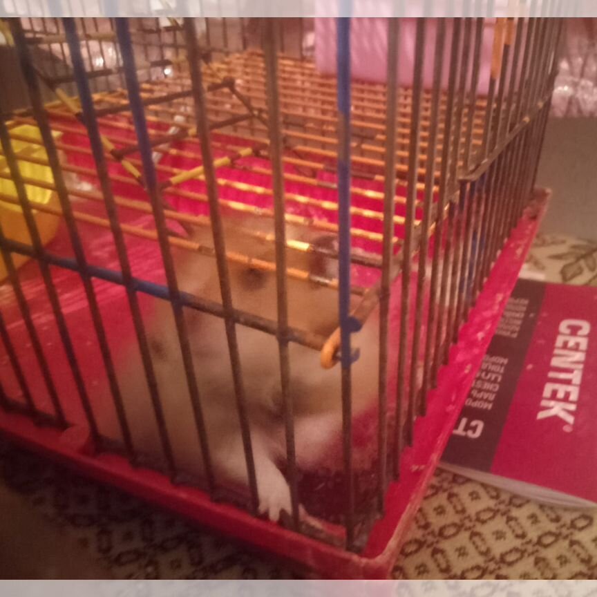 Клетка для хомяка большая