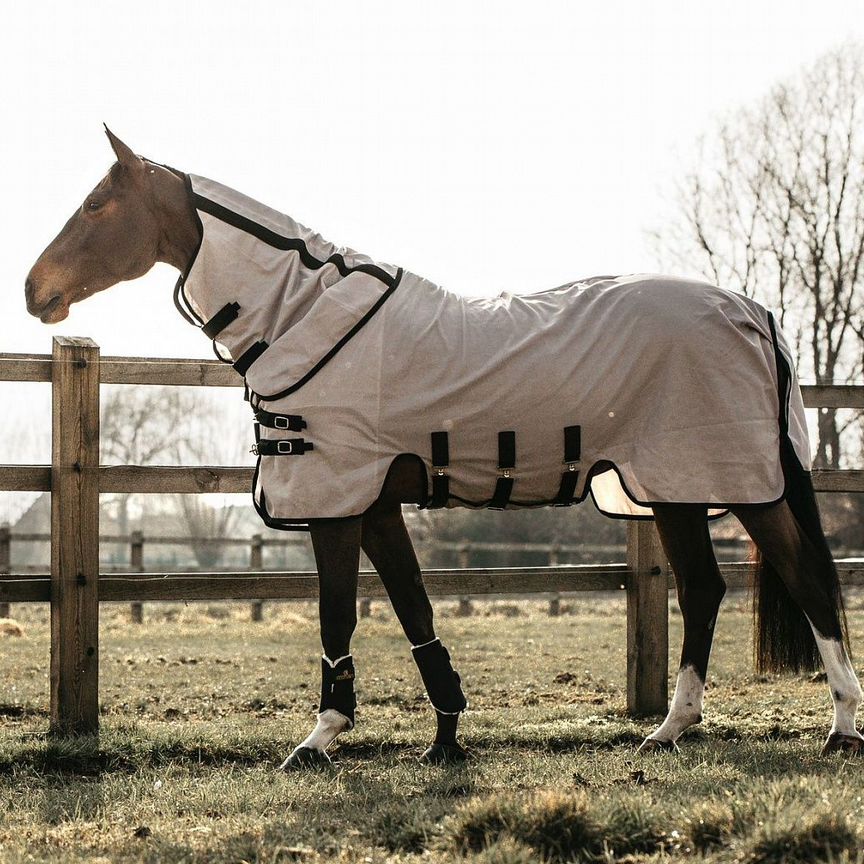 Москитная попона Kentucky