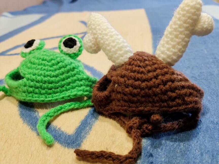 Вязаные шапки для котиков