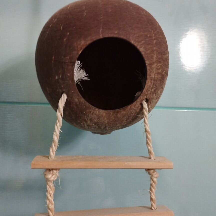 Гнездо для птиц