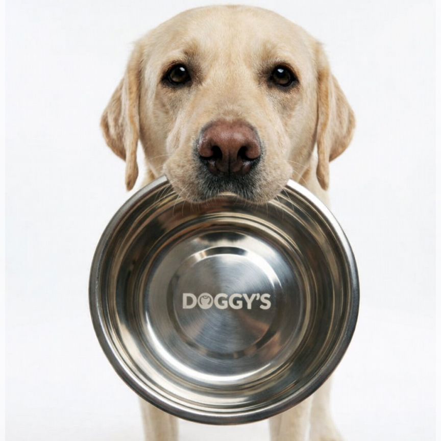 Миски из нержавеющей стали - опт. Только миски