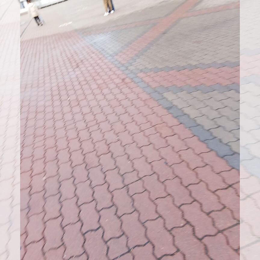 Пристраиваются котики