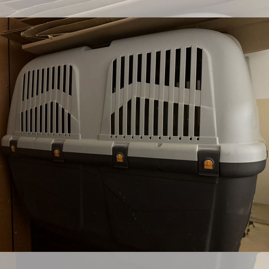 Переноска для собак