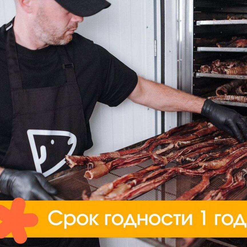 Лакомства для собак -собственное производство
