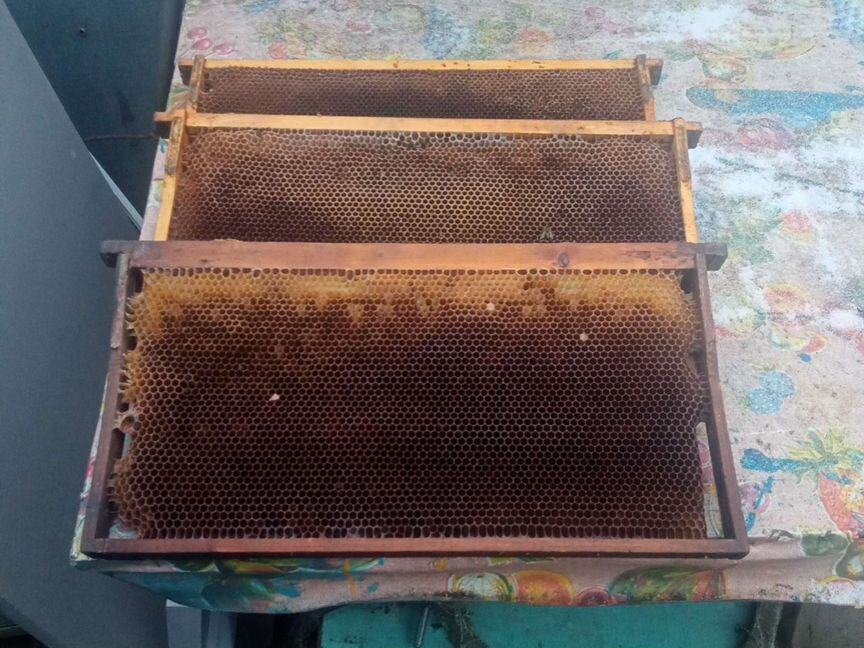 Рамки с сушью воск