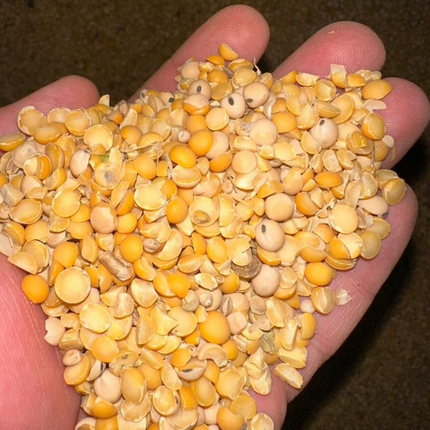 Отходы гороха