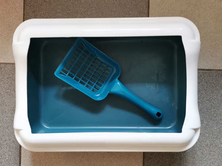 Лоток туалет для кошек и котят