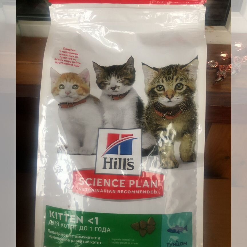 Корм хилс для котят