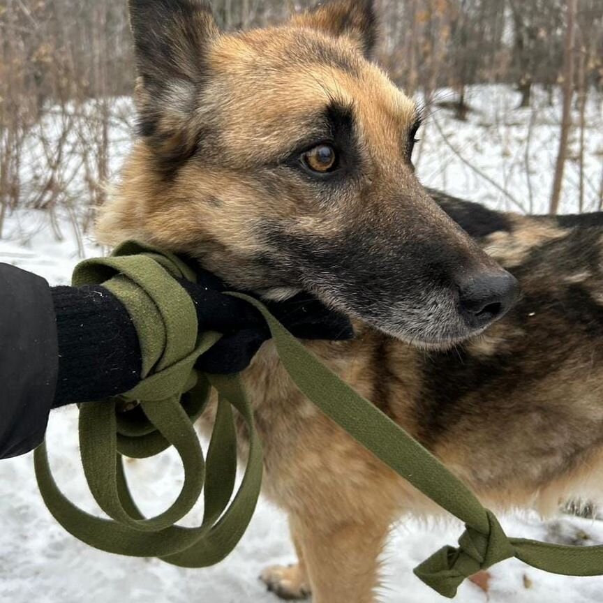 Решись на доброе дело