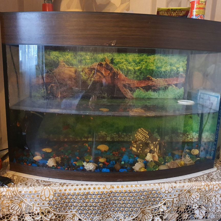 Аквариум 96л