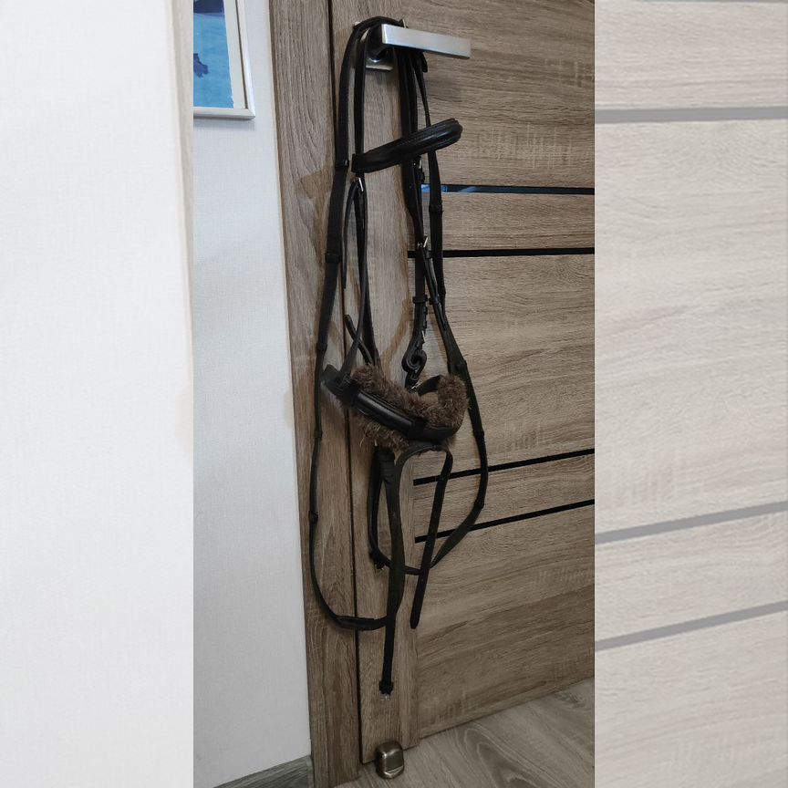 Уздечка для лошади cob