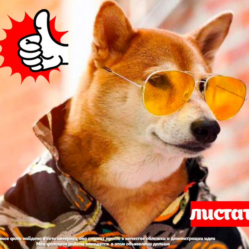 Собака (Вернитесь, чтобы заказать)