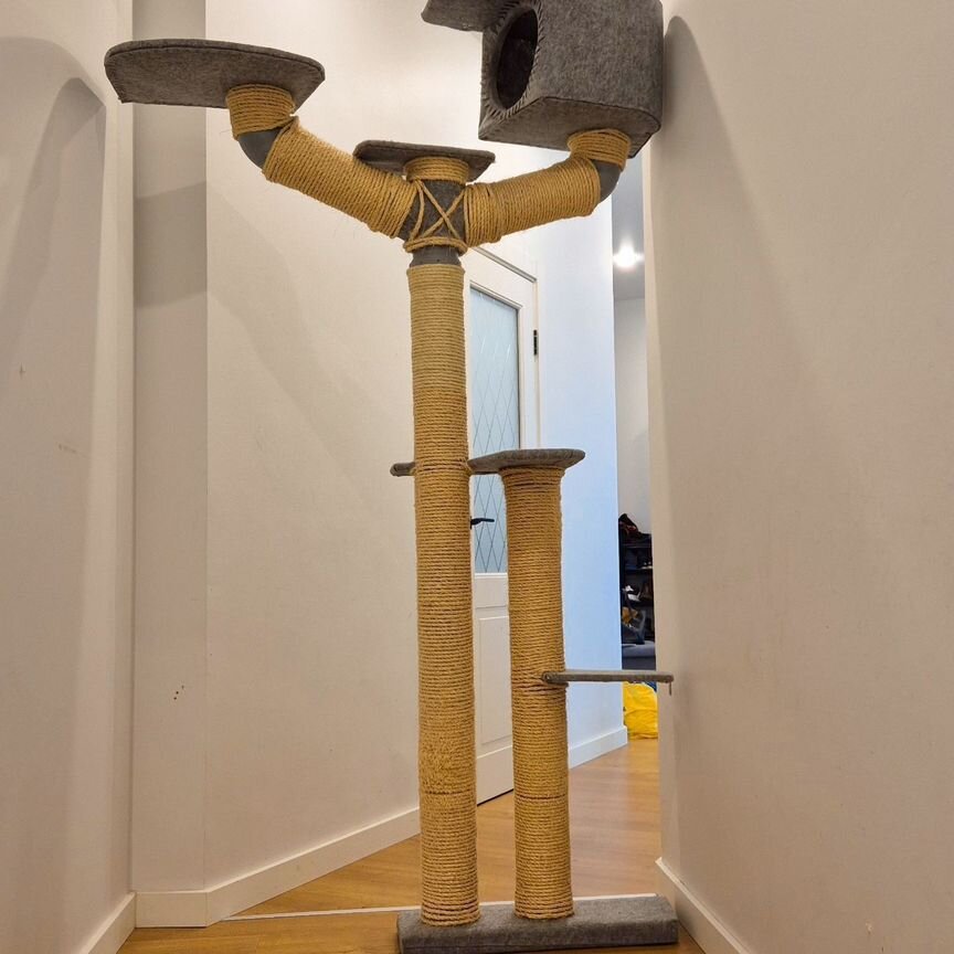 Когтеточка для кошки