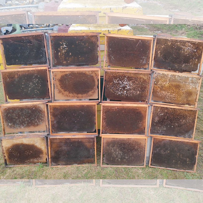 Рамки. Сушь для пчёл