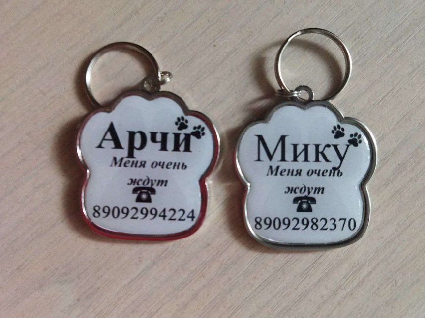 Адресник для животных