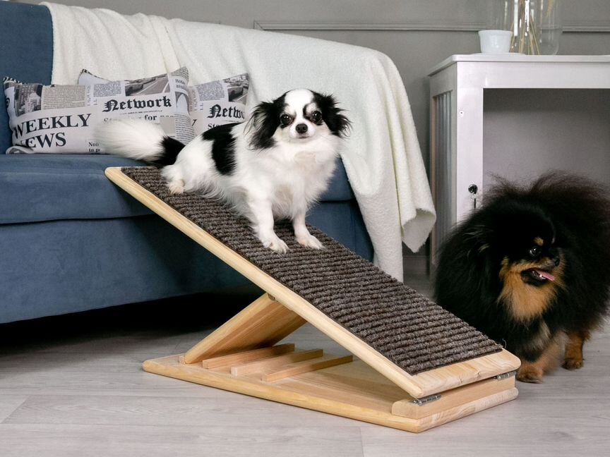 Лесенка(пандус) для собак