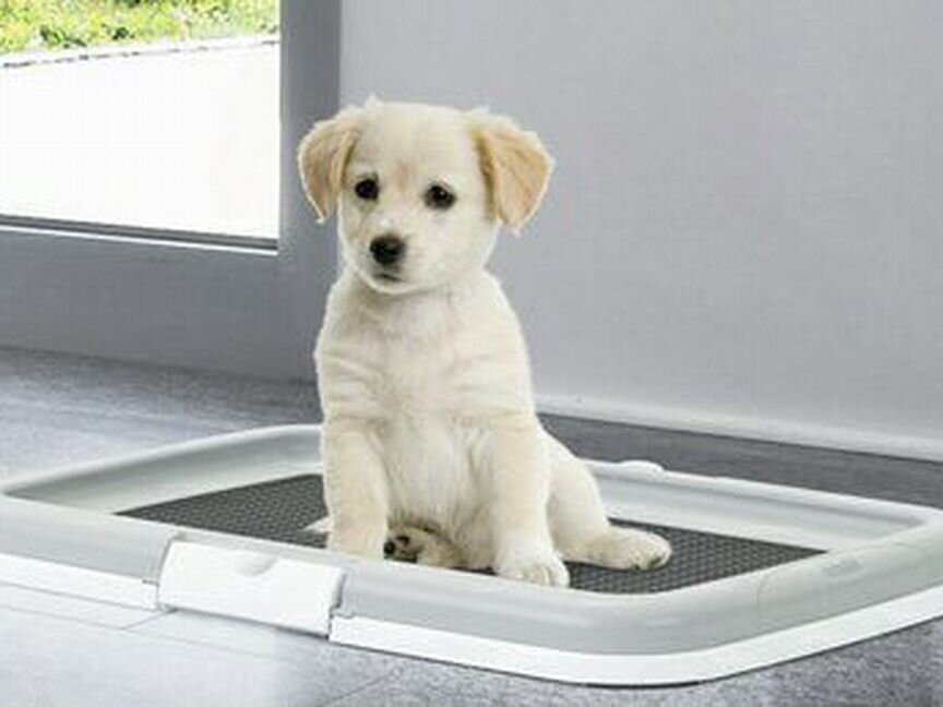 Stefanplast набор для приучения к туалету щенков