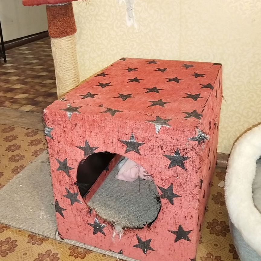 Домик для кошки с когтеточкой бу