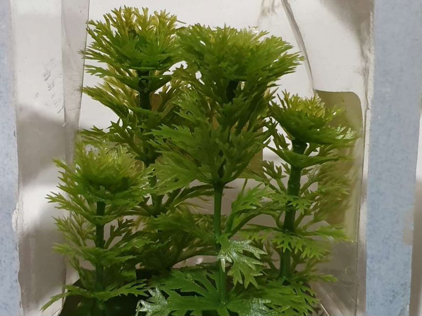 Аквариум террариум искусственное растение амбулия