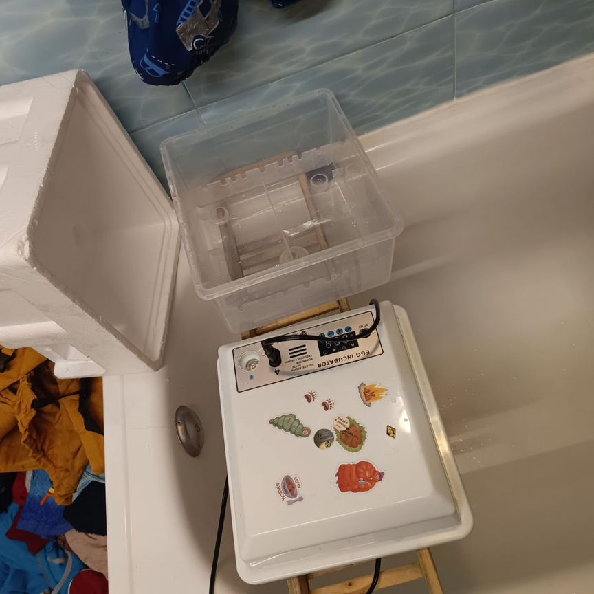 Инкубатор для яиц