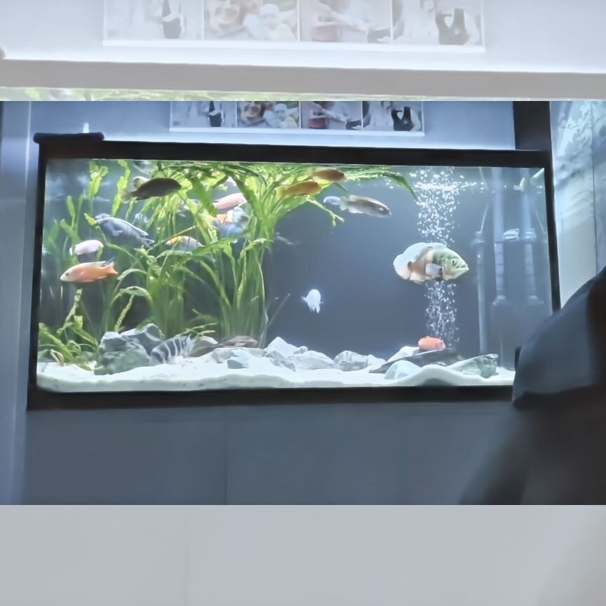 Аквариум с тумбой 288 литров