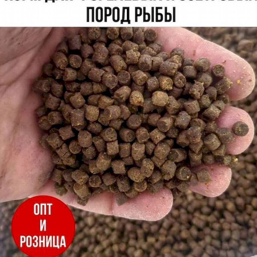 Корм для форели