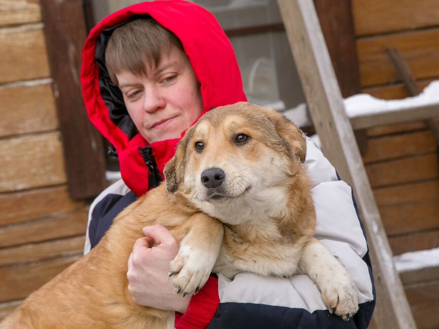 Щенок Юта 5м. Не большая Лохматая Привита Доставка