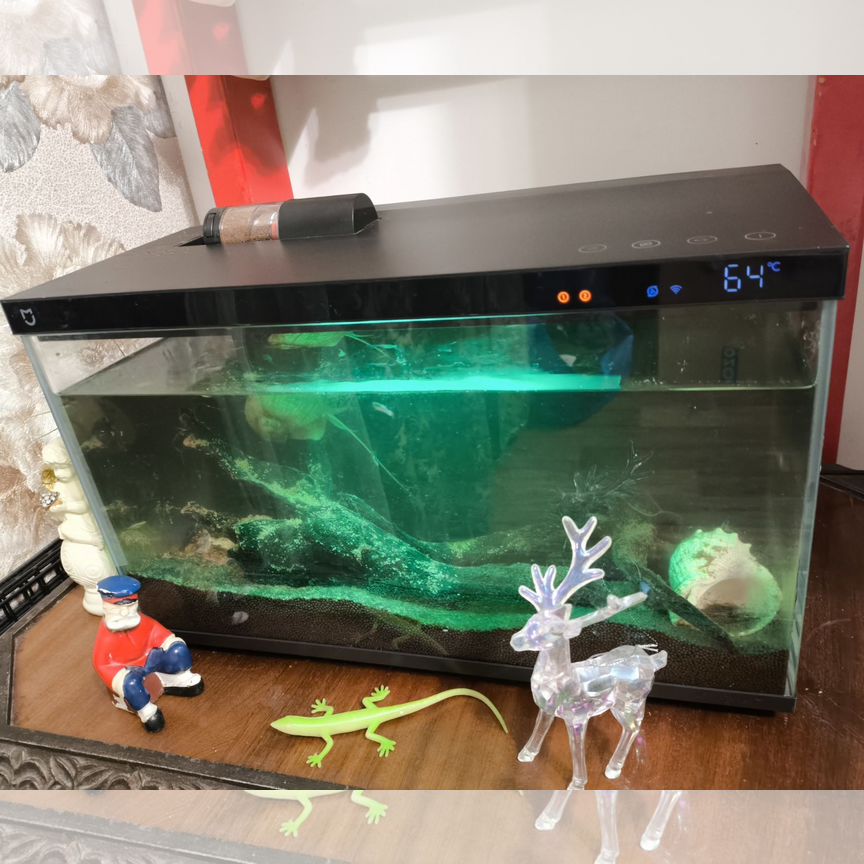 Умный аквариум