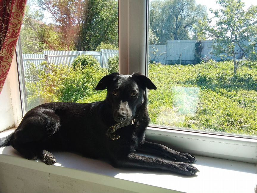 Тося ищет дом