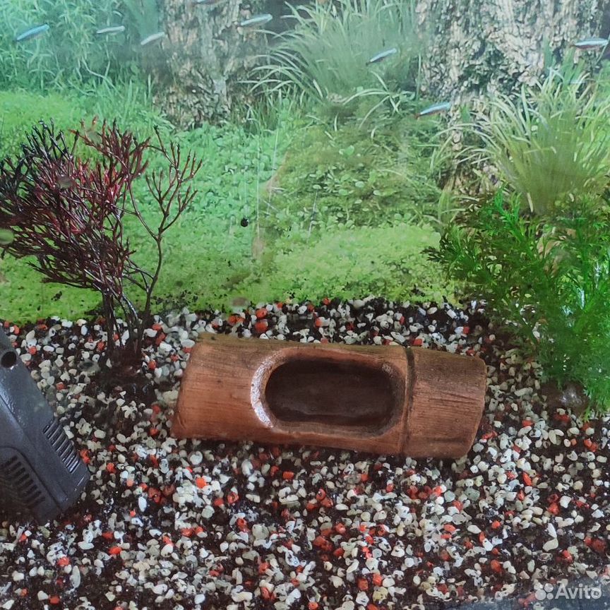 Аквариум 40л со все необходимым