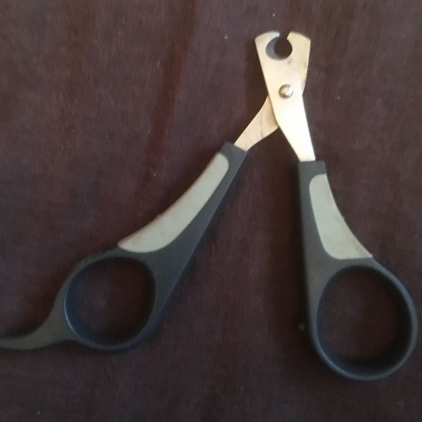 Когтерезка для животных