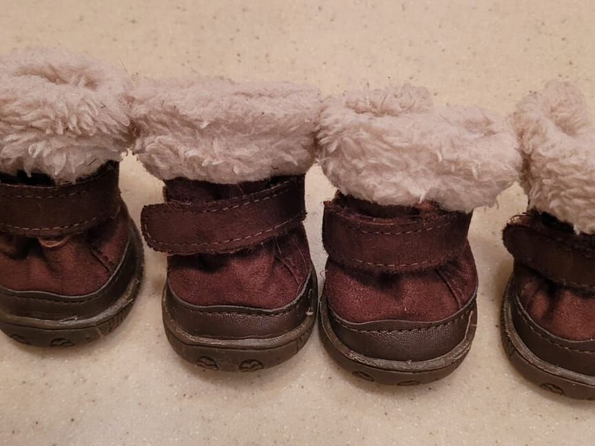 Ботинки для собак мелких пород зимние на липучках